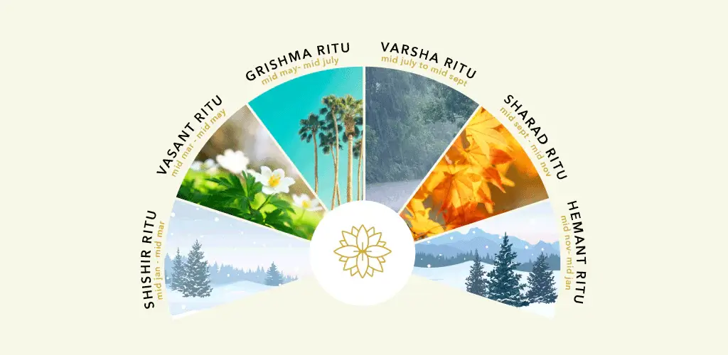 Navigating the Seasons Through Ayurvedic Ritucharya for Holistic Well ...